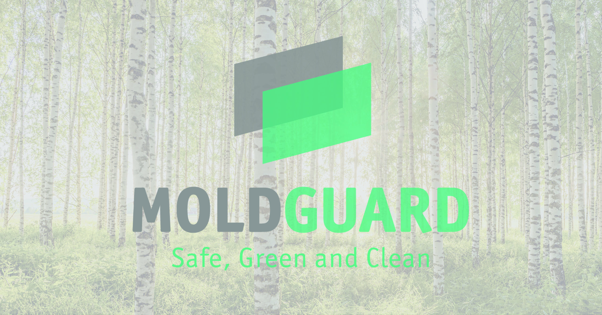 Moldguard Inc – green & clean