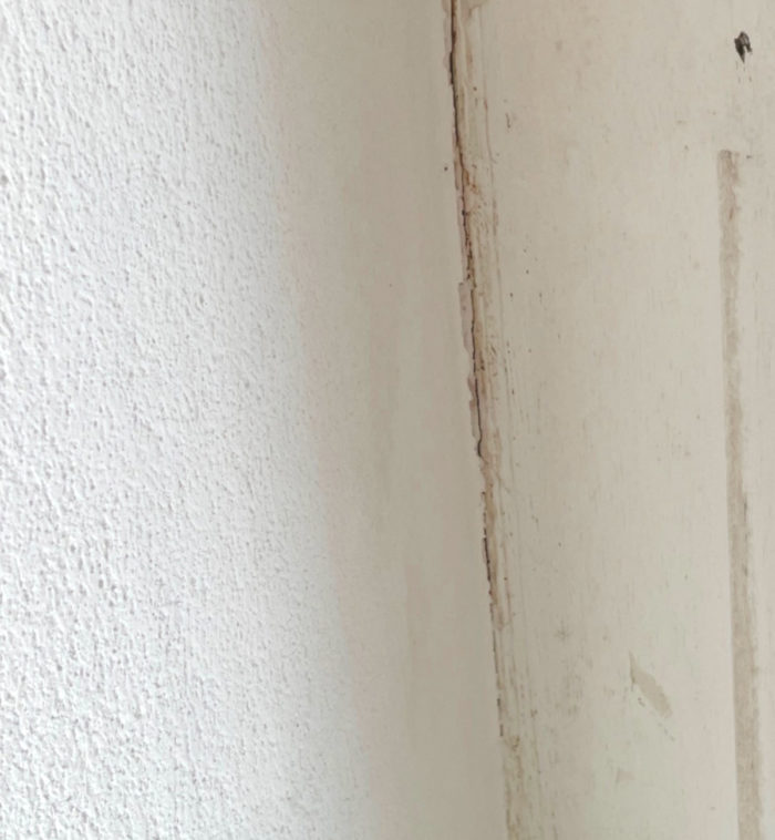 Moldguard Inc | Safe, Clean and Green