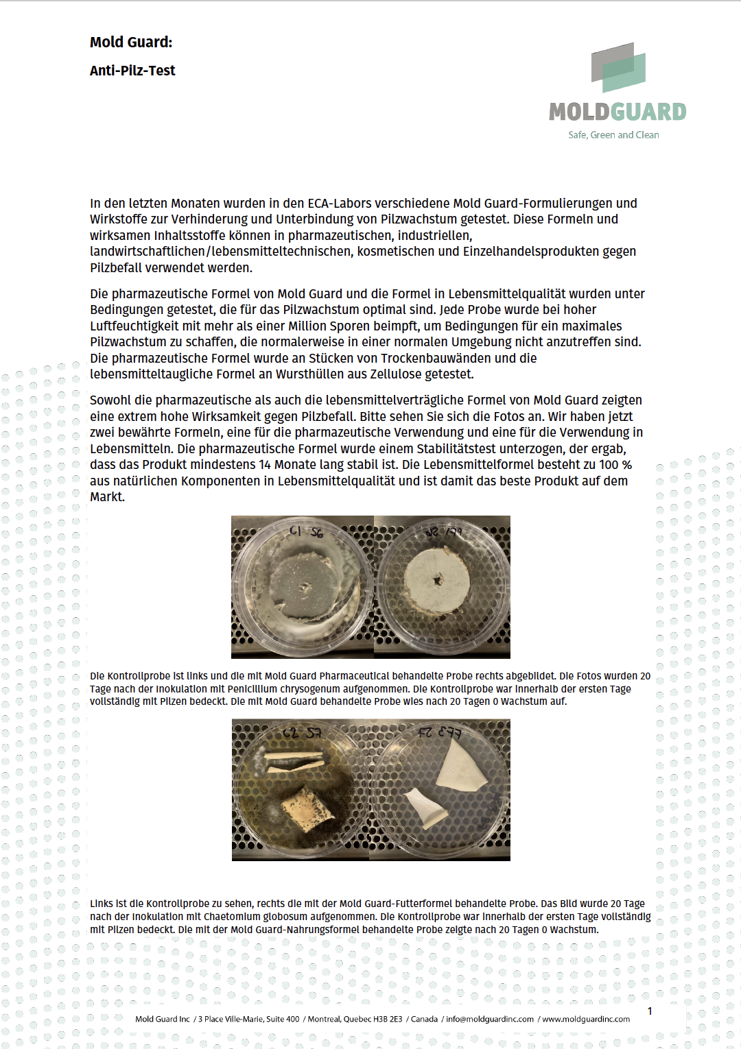 Study – Moldguard Inc